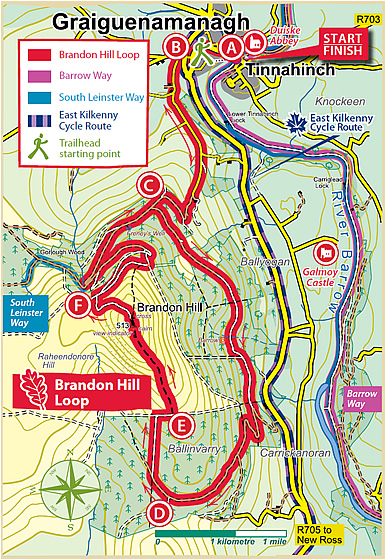 Brandon Hill loop walk – Co. Kilkenny | Best Walks