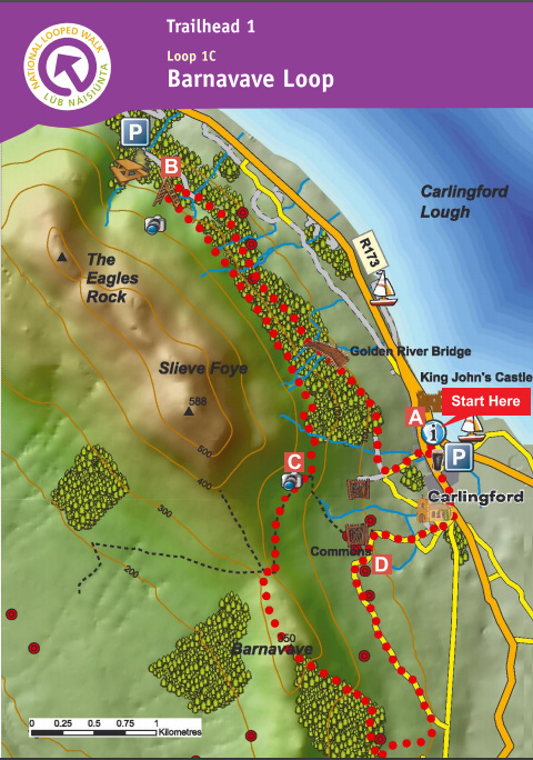 Slieve Foye & The Barnavave Loop : Ireland’s Ancient East | Best Walks