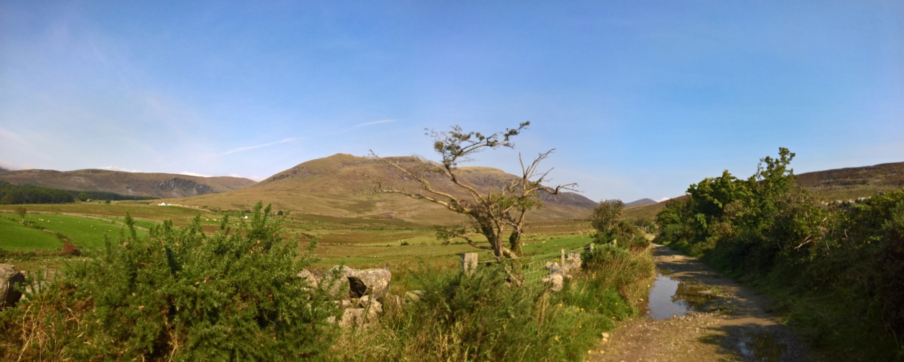 Mourne Walks : The Slieve Muck Loop Walk | Best Walks