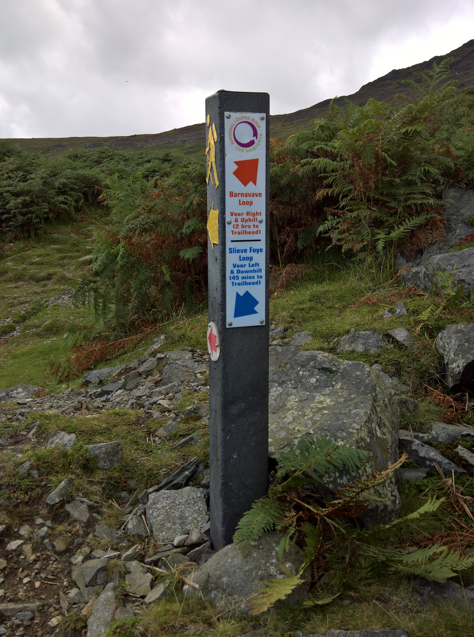 Slieve Foye & The Barnavave Loop : Ireland’s Ancient East | Best Walks